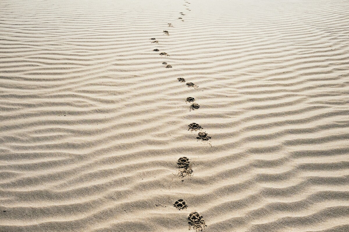 Blog | City Light Church